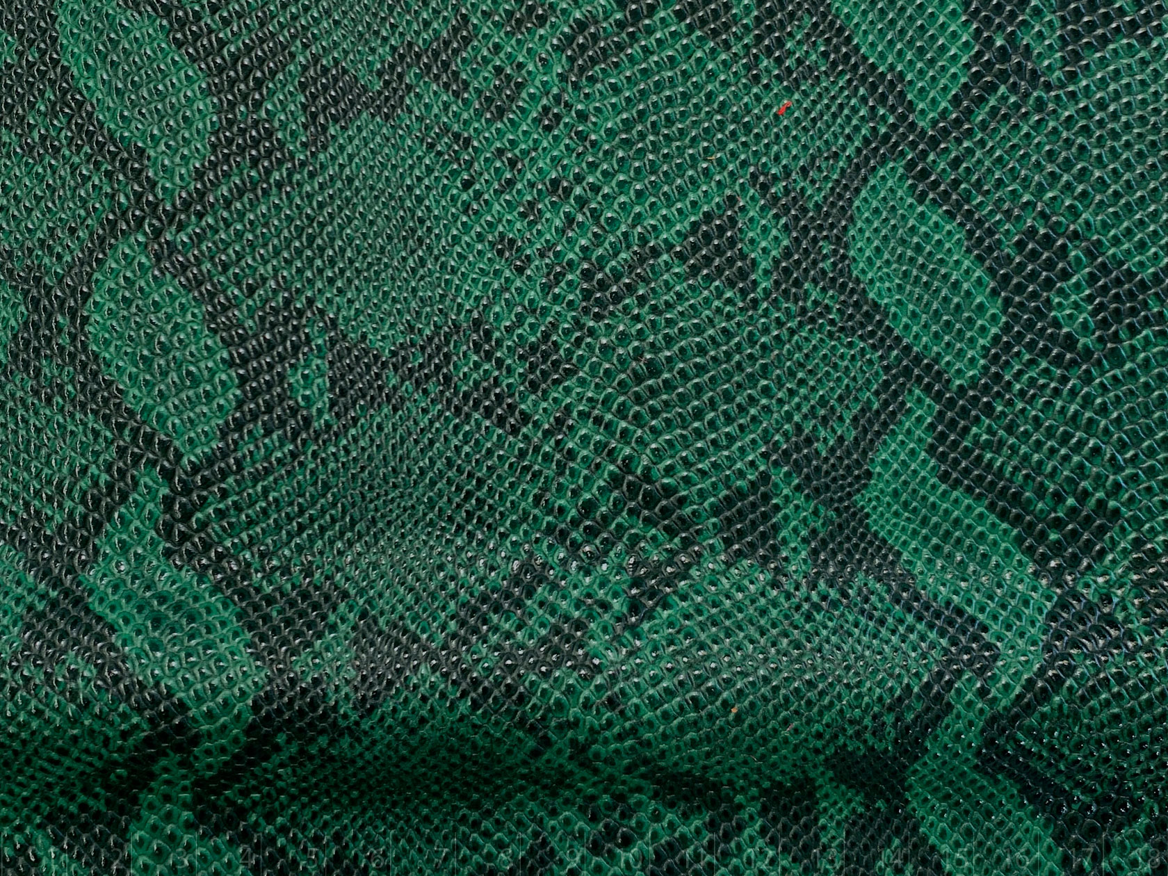 CASCABEL REAL ANILINA VERDE EDEN - Tenería Pieles Conac l León de ...