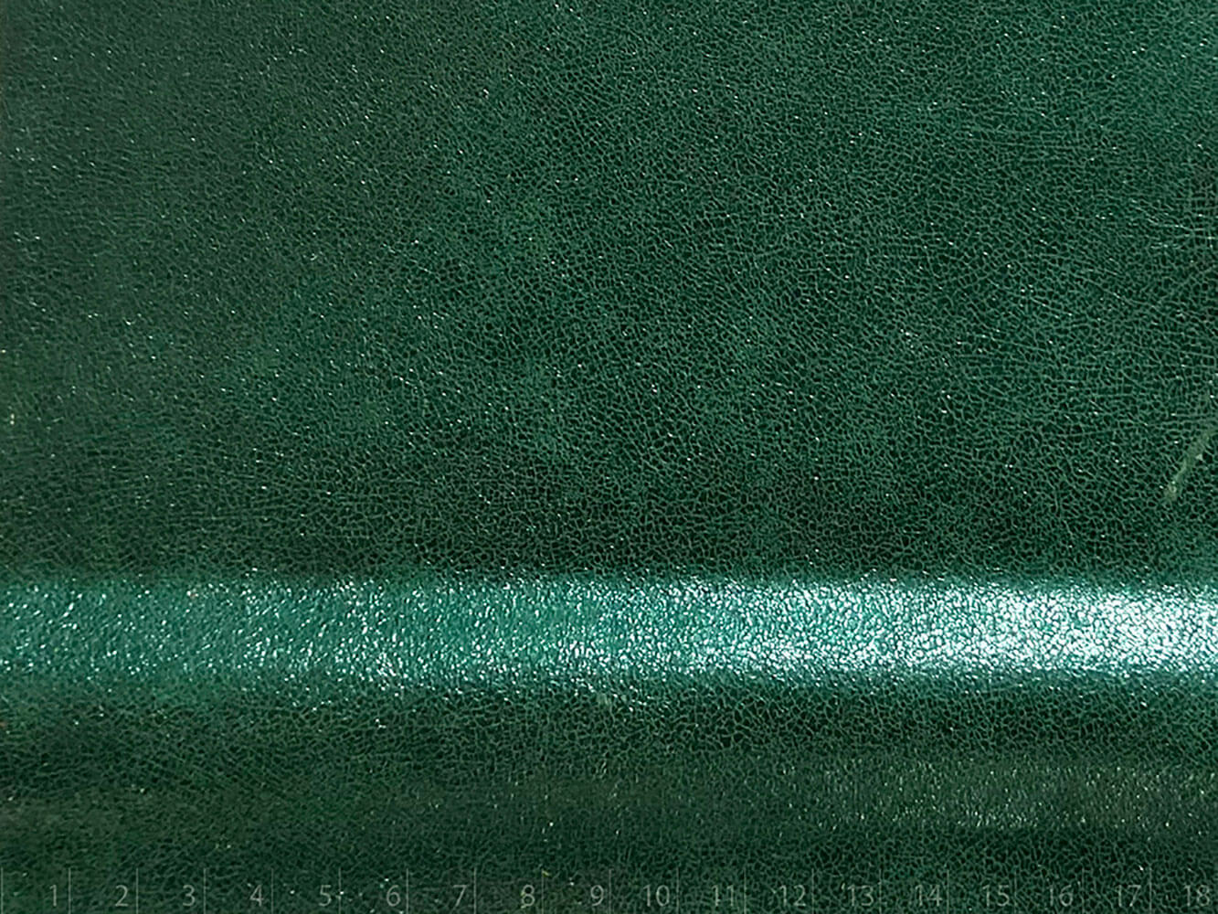 DFO.88 FORESTA VERDE EDEN - Tenería Pieles Conac l León de Guanajuato