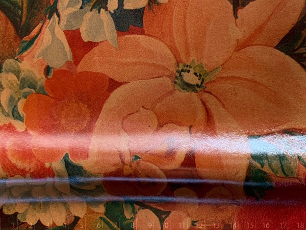 FOL.21 CASTANO - Tenería Pieles Conac l León de Guanajuato