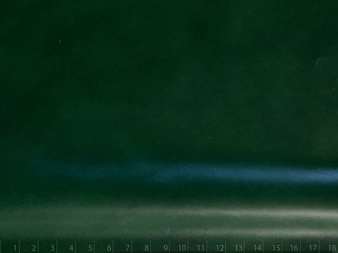 NEW AGRESTE VERDE EDEN - Tenería Pieles Conac l León de Guanajuato